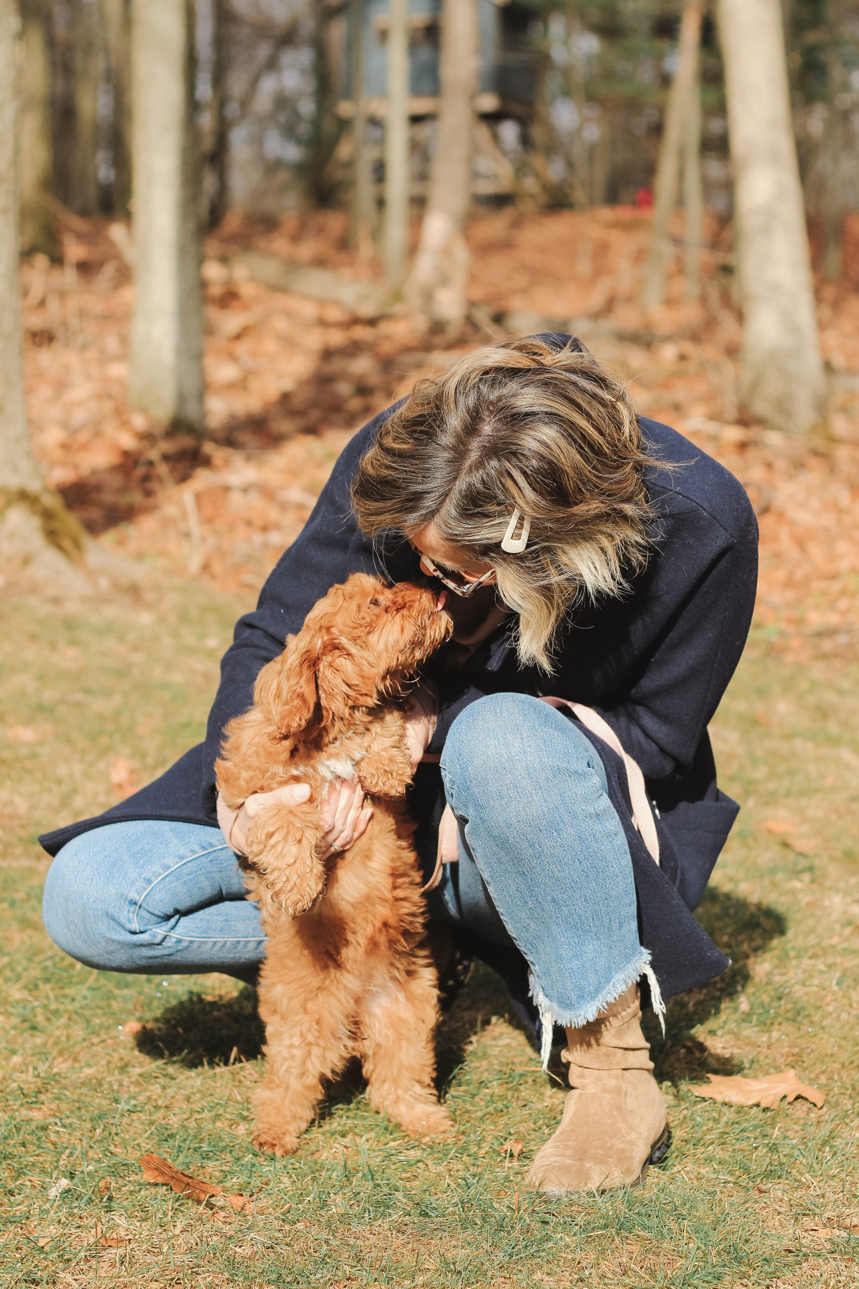 Meet Cinnamon the Cockapoo | A Lovely Living