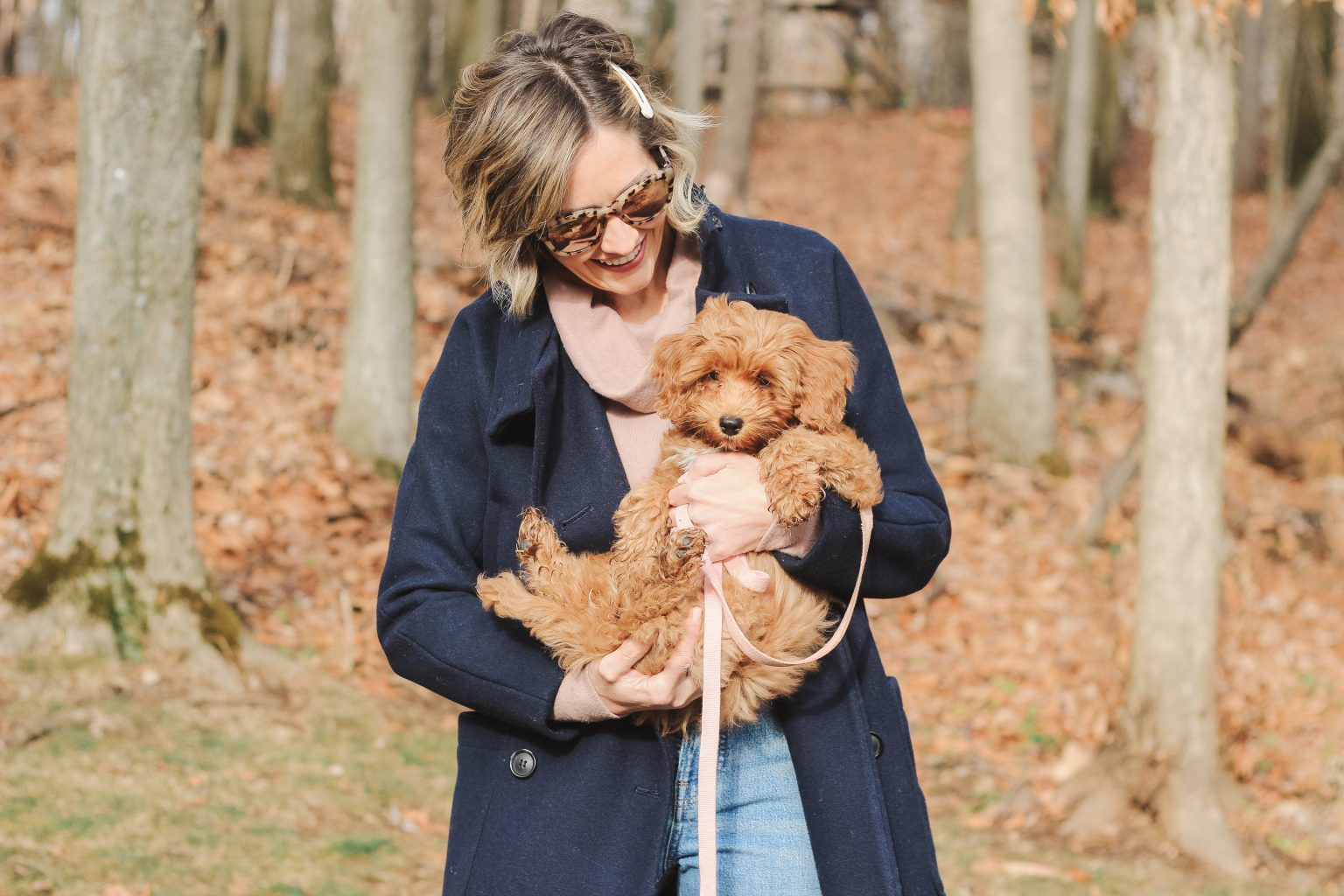 Meet Cinnamon the Cockapoo | A Lovely Living